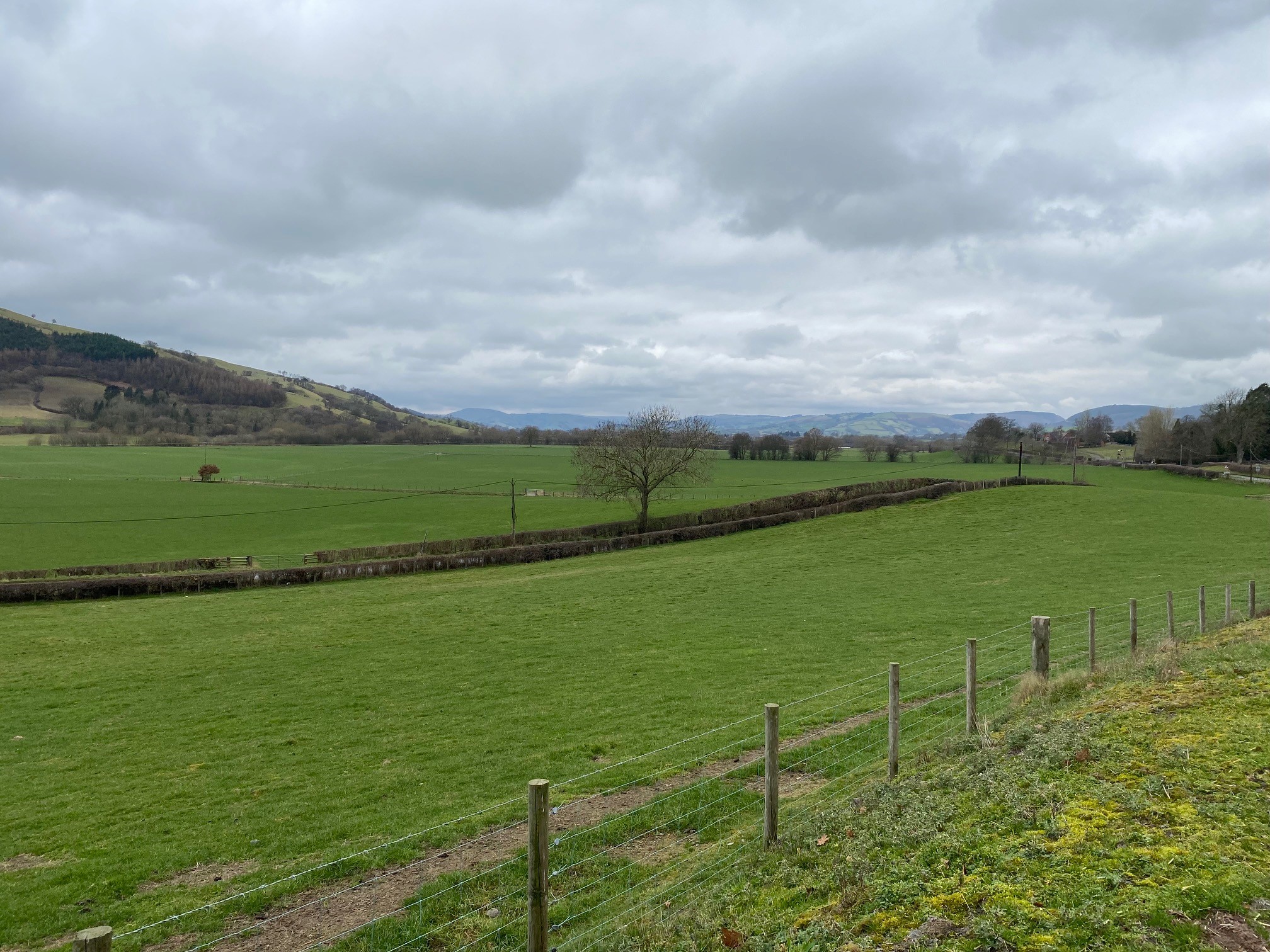 Official Exhibition Stand Contractors For NSA Welsh Sheep
